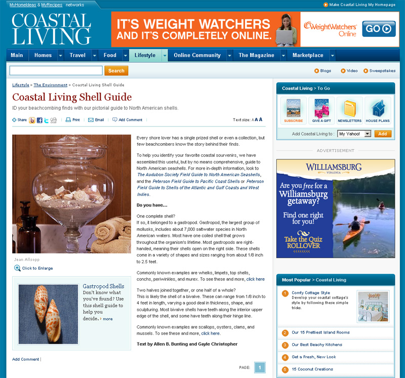 Coastal Living Shell Guide | Gayle's Portfolio